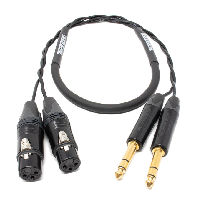 2 Channel Analog Snake Made from Mogami 2930 and Neutrik Gold XLR Fema ...